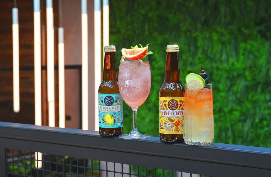 Waves & Caves Craft Soda and Sparkling Water (Sample Pack) – Made In Perth